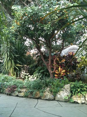 Centennial Park Conservatory - Parks - Etobicoke - Toronto, ON ...