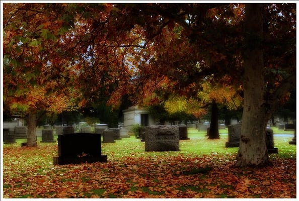 Mountain View Mortuary & Cemetery - Funeral Services & Cemeteries ...